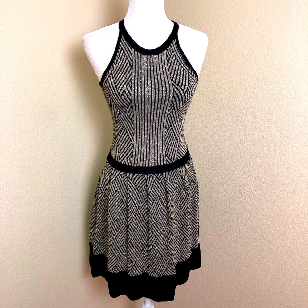 Parker Silver Black Stripes Metallic Shiny A-Line Ska… - Gem